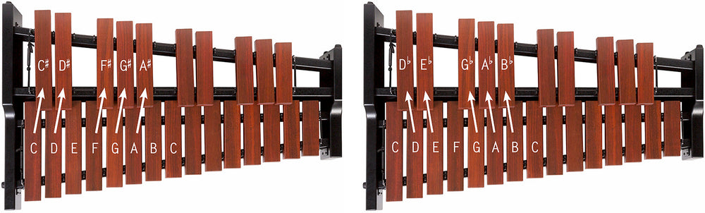 TWO MALLET FUNDAMENTALS – Vic Firth